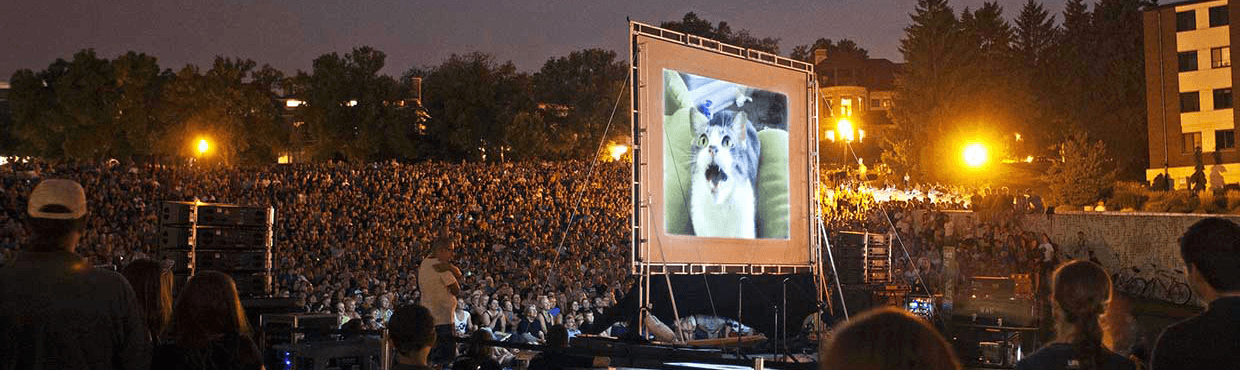 Webbkatter | Internetmuseum